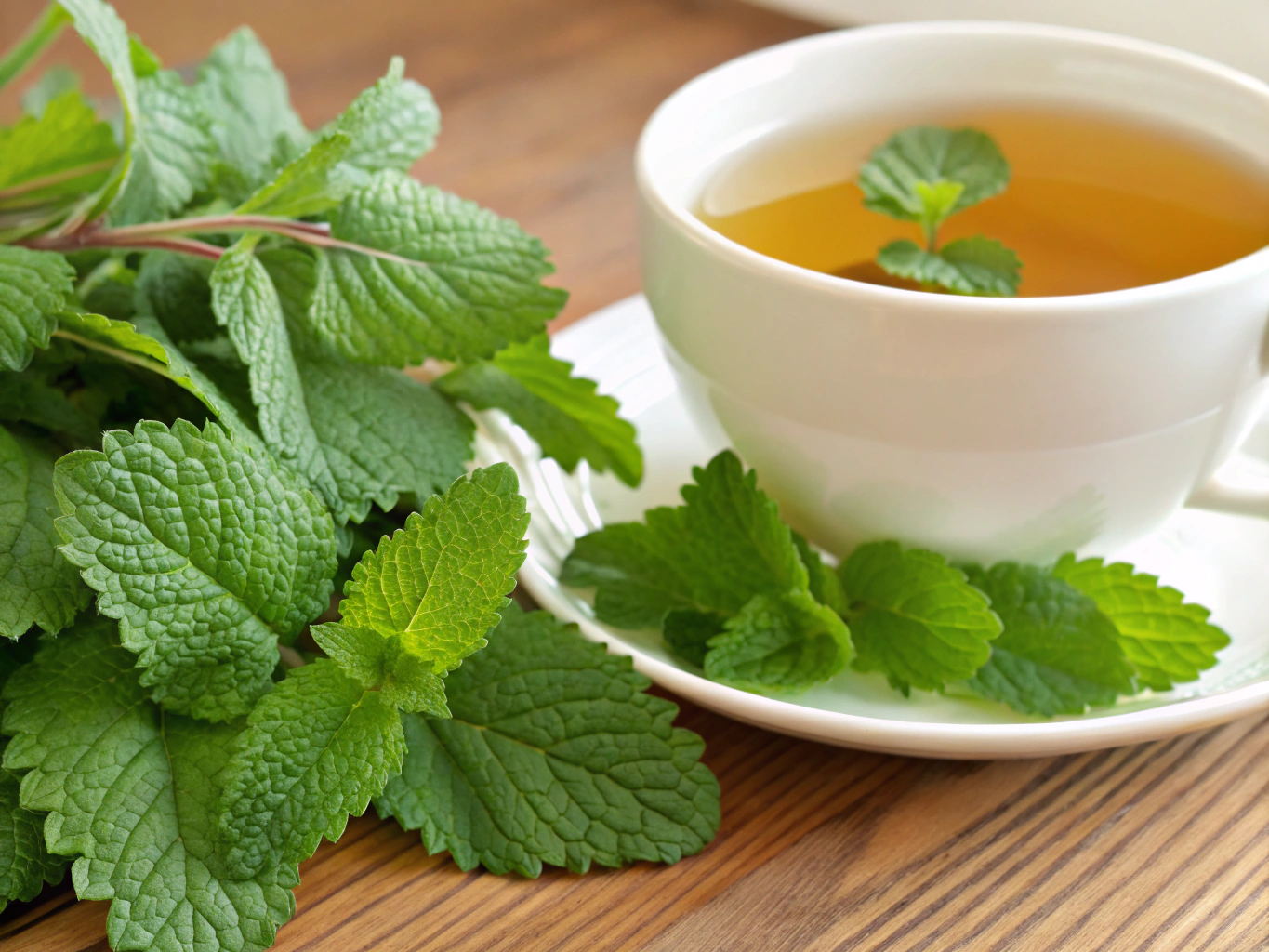 Lemon balm tea benefits: 13 Extraordinary Ways It Transforms Your Health